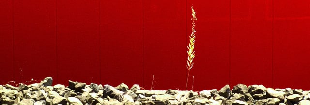 perex | Learn Photography by Zoner Studio