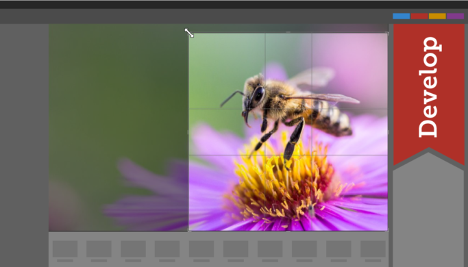 [Infographic] How to Crop Photos | Learn Photography by Zoner Photo Studio