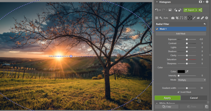 3 Tips for Getting Creative With the Radial Filter | Learn Photography ...