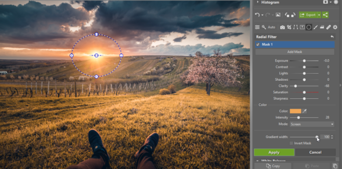 3 Tips for Getting Creative With the Radial Filter | Learn Photography ...