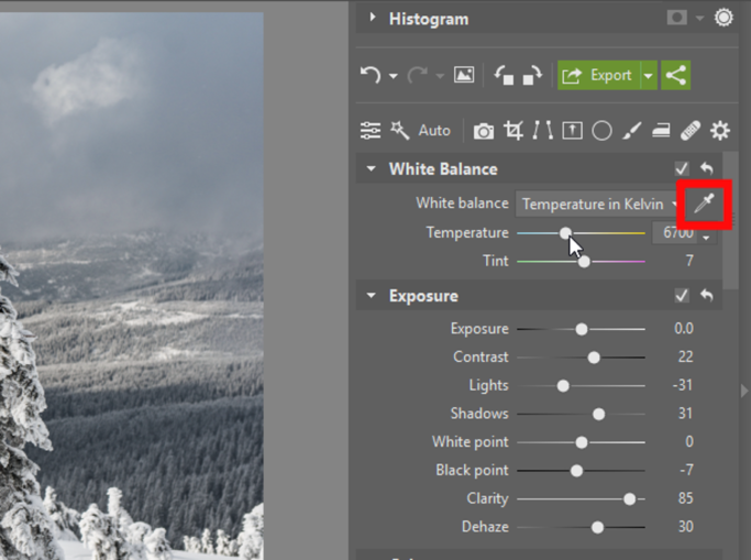 Add Pizazz to Your Winter Photos: We’ll Show You How to Edit Your ...