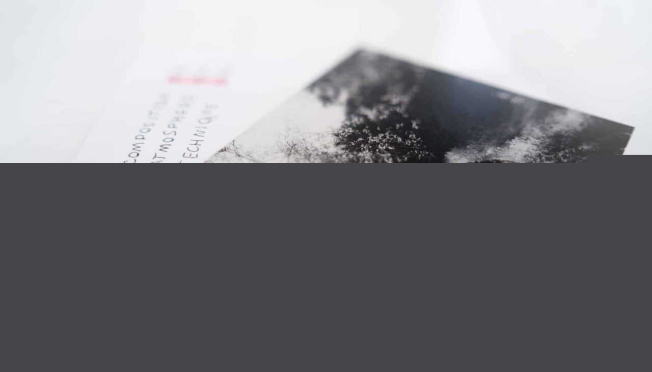 Photography and criticism: How to accept constructive criticism and ...