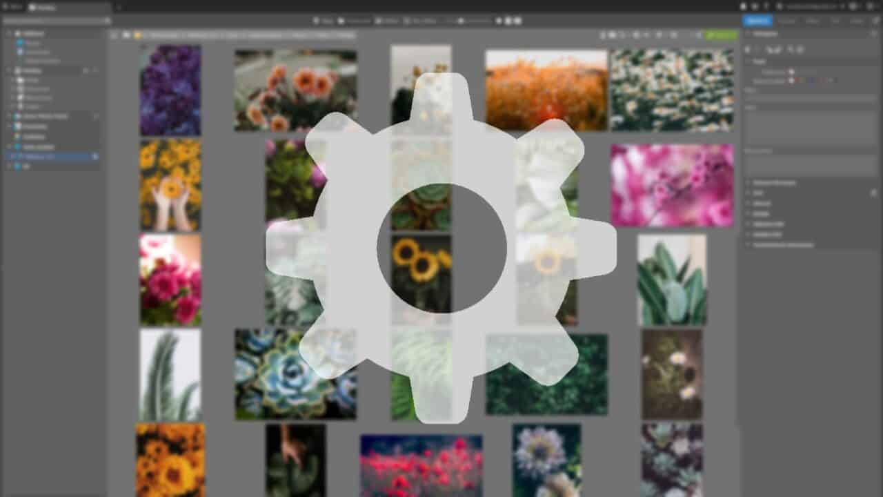 Customize Zoner Photo Studio To Fit Your Needs | Learn Photography by ...