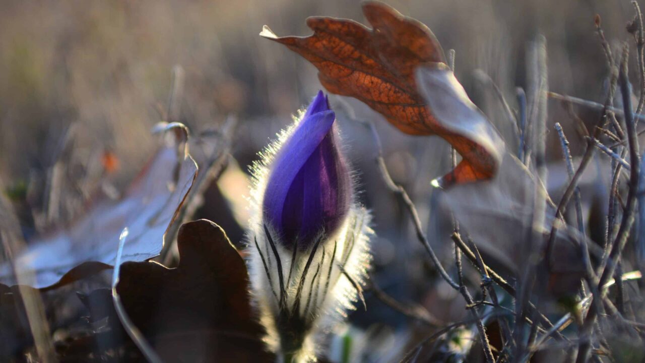 Visual Autobiography: How a Photo Can Express Your Personality and ...