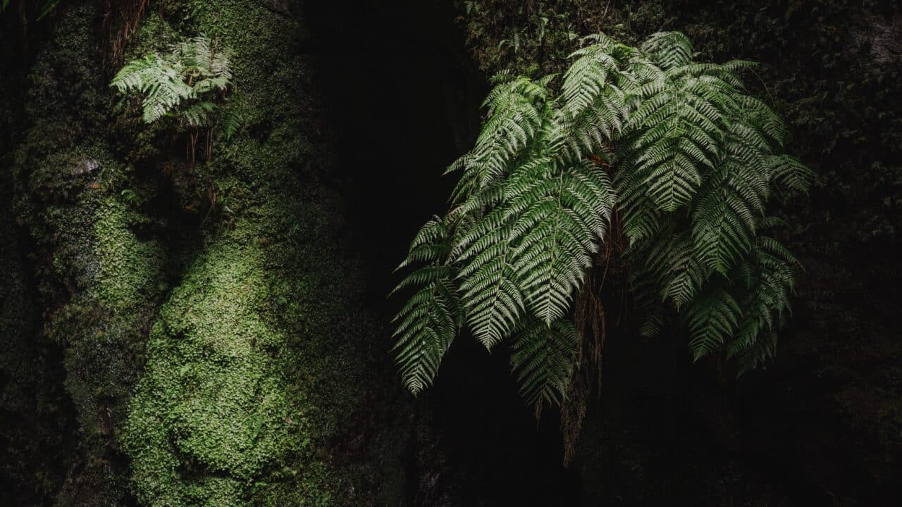 Colors in Photography: Everything You Need To Know About the Color ...