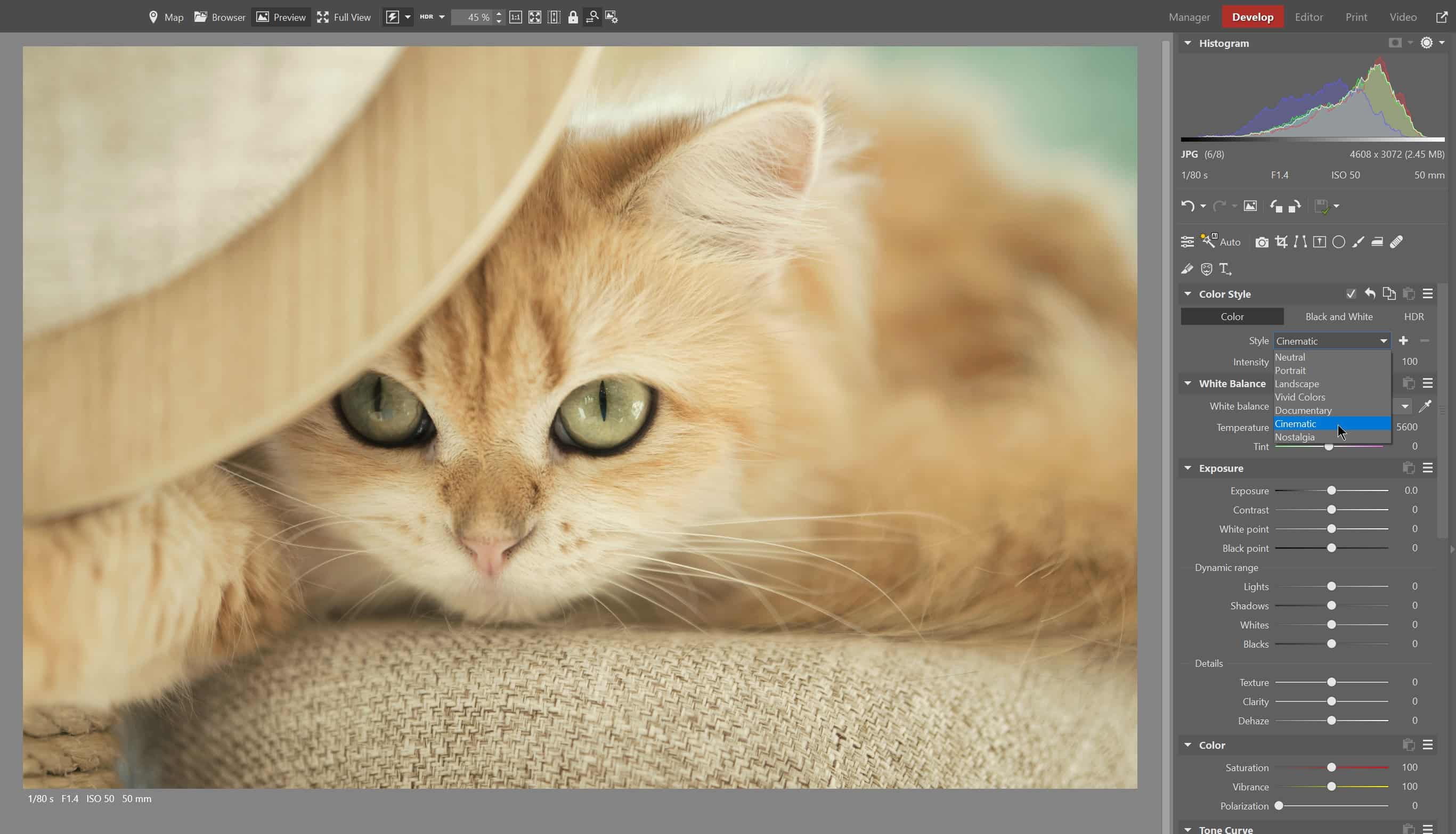 Low-contrast Photogaphy in Zoner Studio | Learn Photography by Zoner Studio