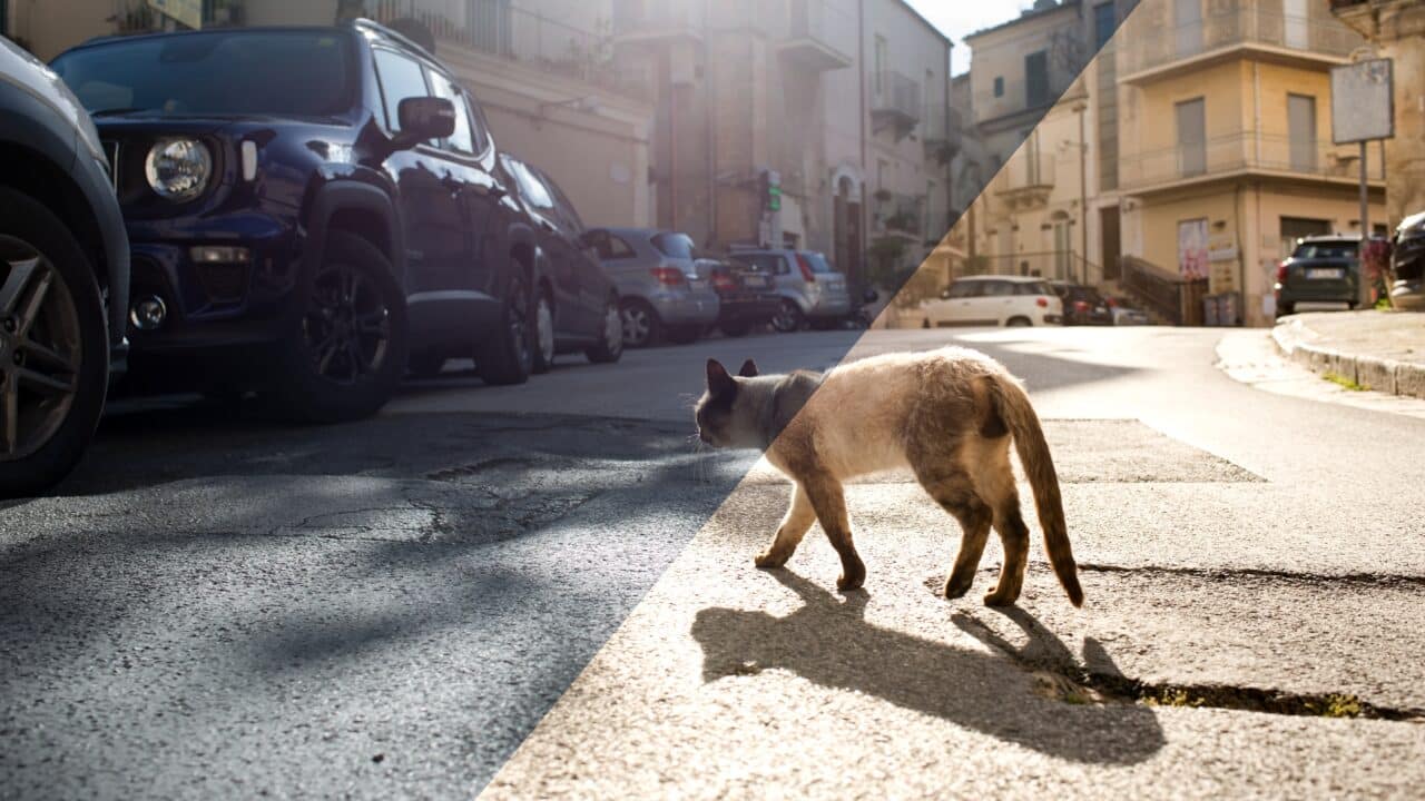 3 Ways You Can Add Life to Dull Photos | Learn Photography by Zoner Studio