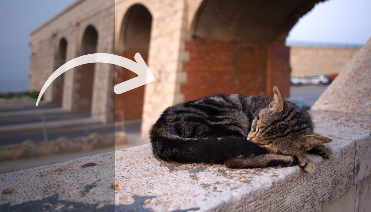 Edit in a Minute: Enhance Photo Contrast and Colors | Learn Photography ...